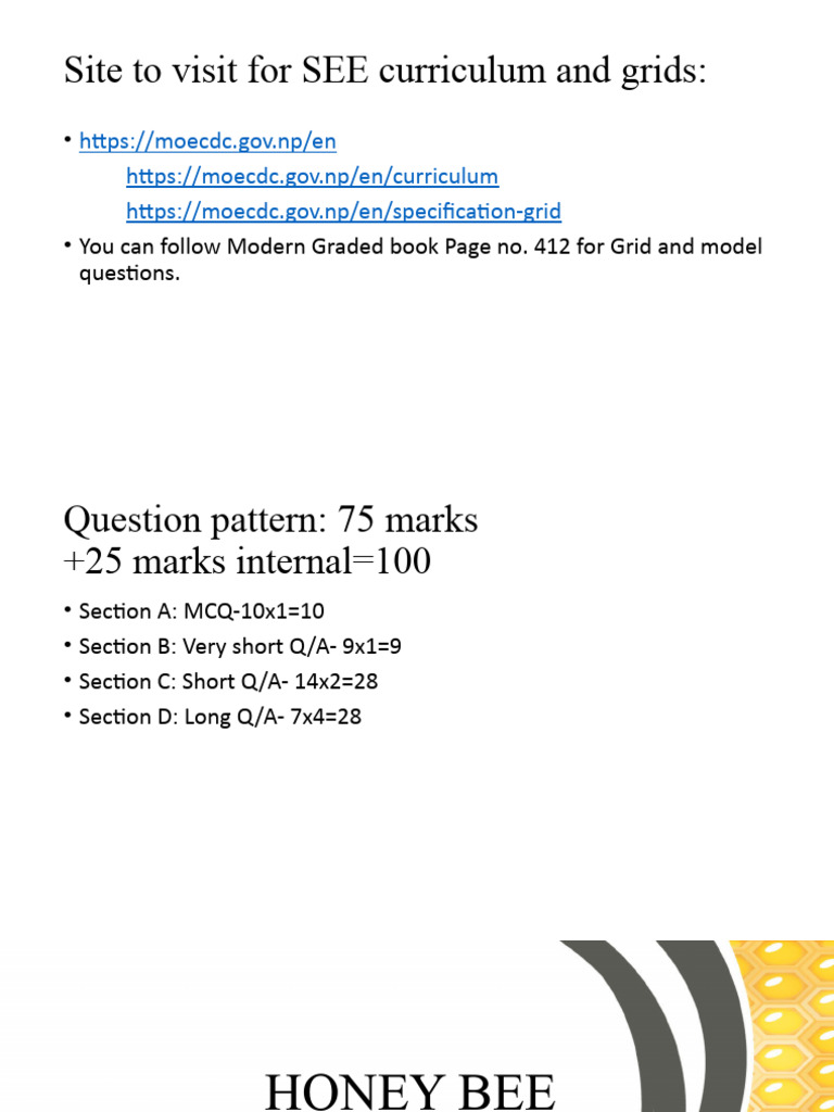 SEE Honey Bee | PDF | Honey Bee | Bees