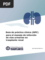 GPC Ivu | PDF | Infección del tracto urinario | Cuidado de la salud