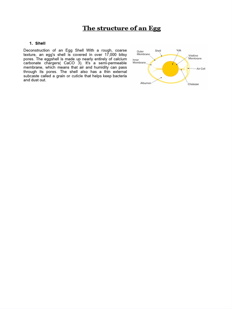 The Structure Of An Egg 15 Pdf