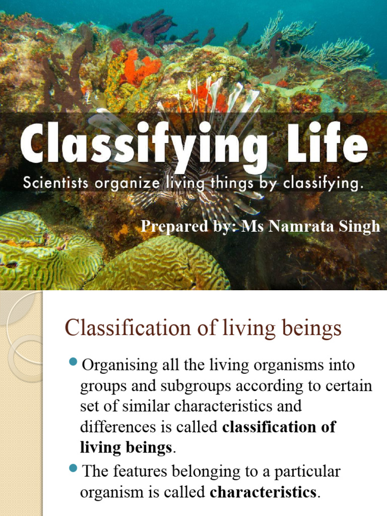 Grade 6-Classifying Life | PDF | Leaf | Invertebrate
