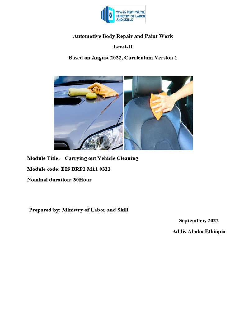 M11 Carrying Out Vehicle Cleaning | PDF | Vacuum Cleaner | Truck