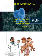 Etapas Del Proceso Infeccioso | PDF | Infección | Las bacterias