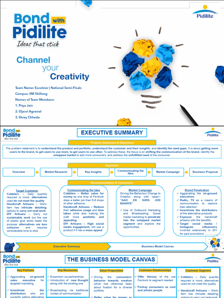 Pidilite Winner | PDF | Adhesive | Marketing