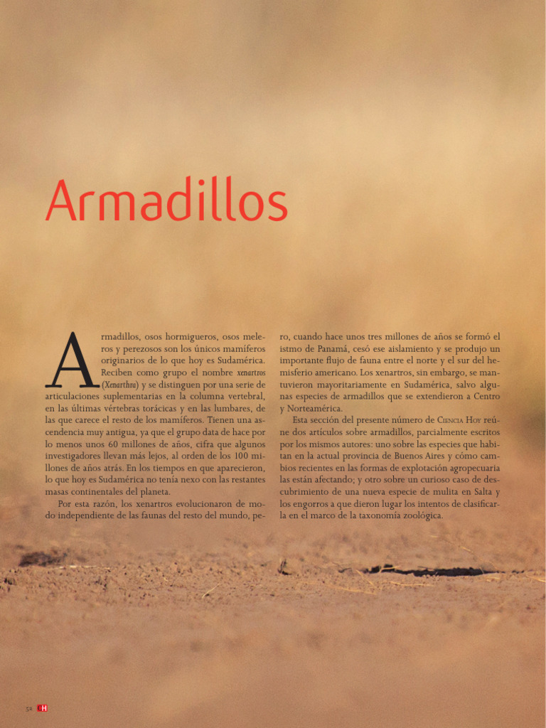 14-Armadillos | PDF