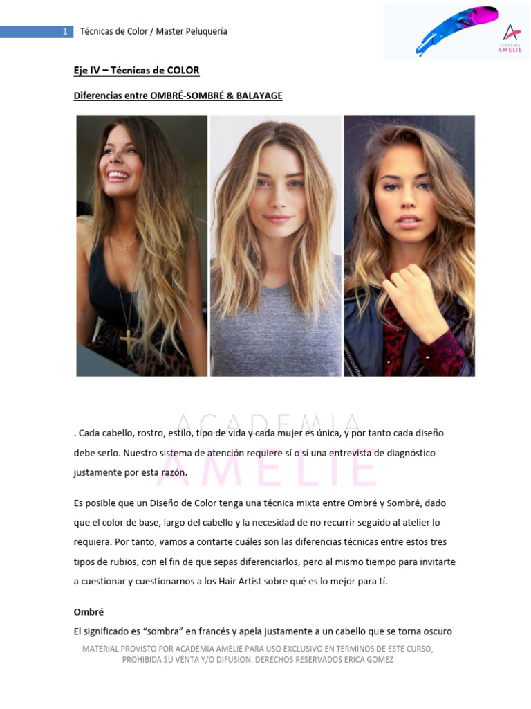 Eje IV - Técnicas de Color | PDF