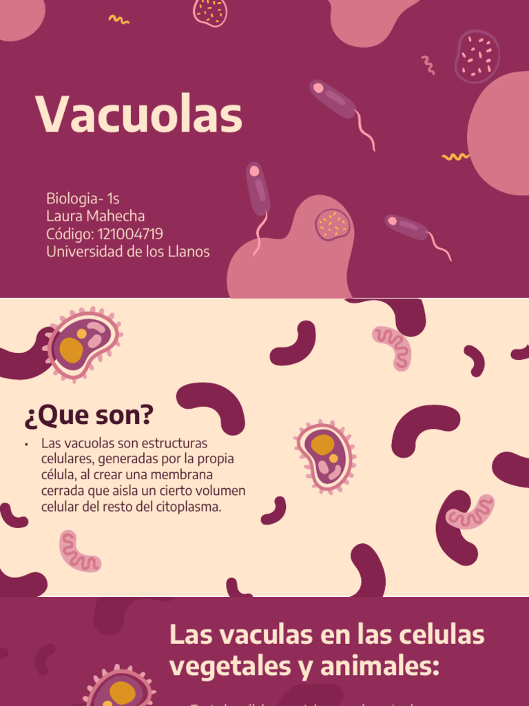 Vacuolas - Biologia | PDF | Ciencia y matemáticas