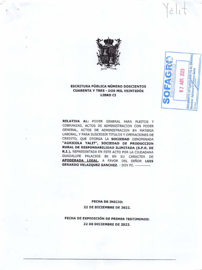 Esc 243 - Poder Luis Gerardo Yalit | PDF