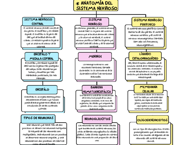 Mapa Conceptual Cap 3 | PDF