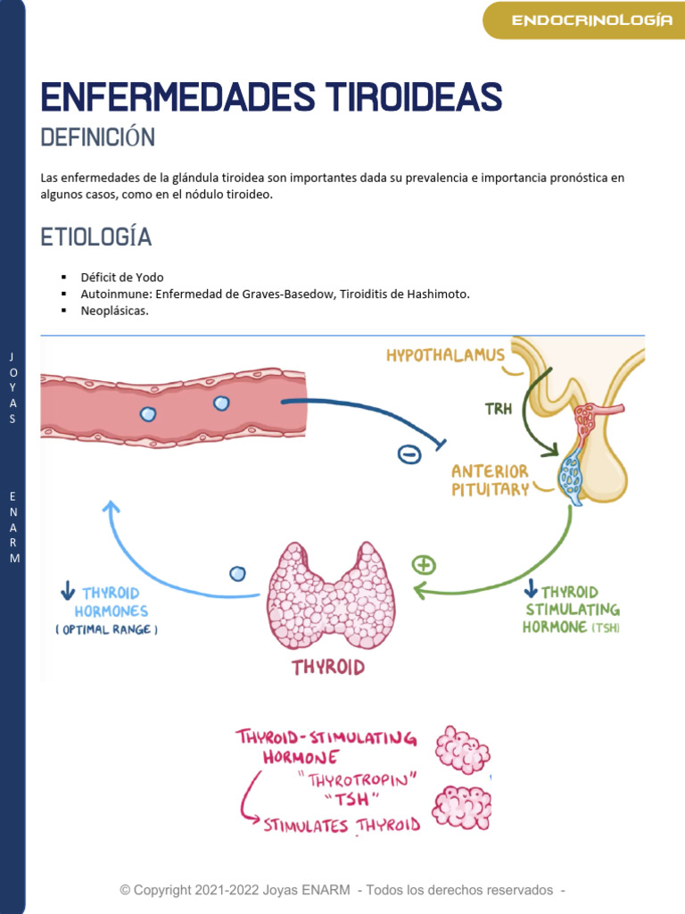 7. Enfermedades Tiroideas | PDF | Tiroides | Hormona estimulante de la tiroides