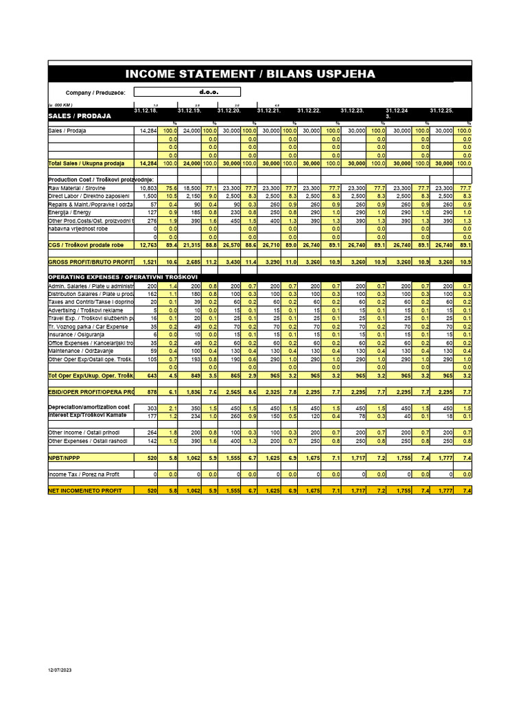 Financial Overview and Projections 2025 | PDF | Balance Sheet | Accounting