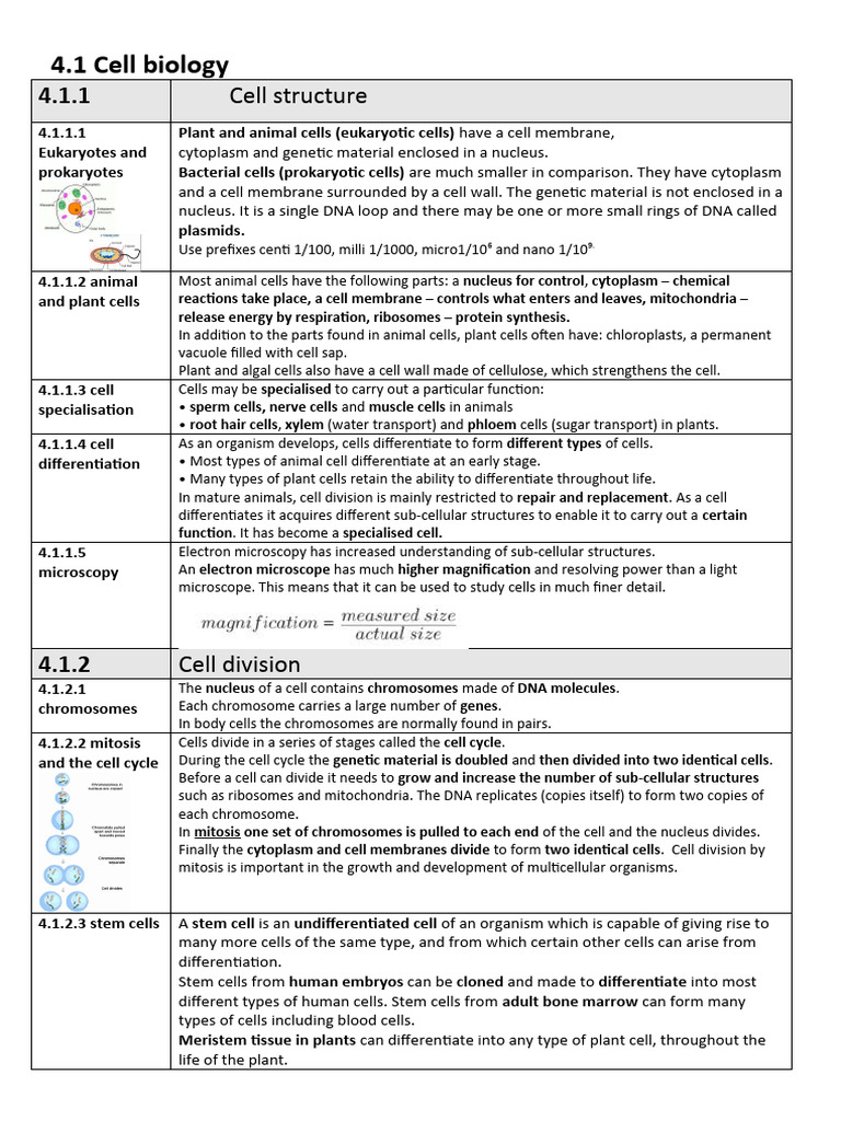 B1. Cells OAA Trilogy | PDF | Cell (Biology) | Osmosis