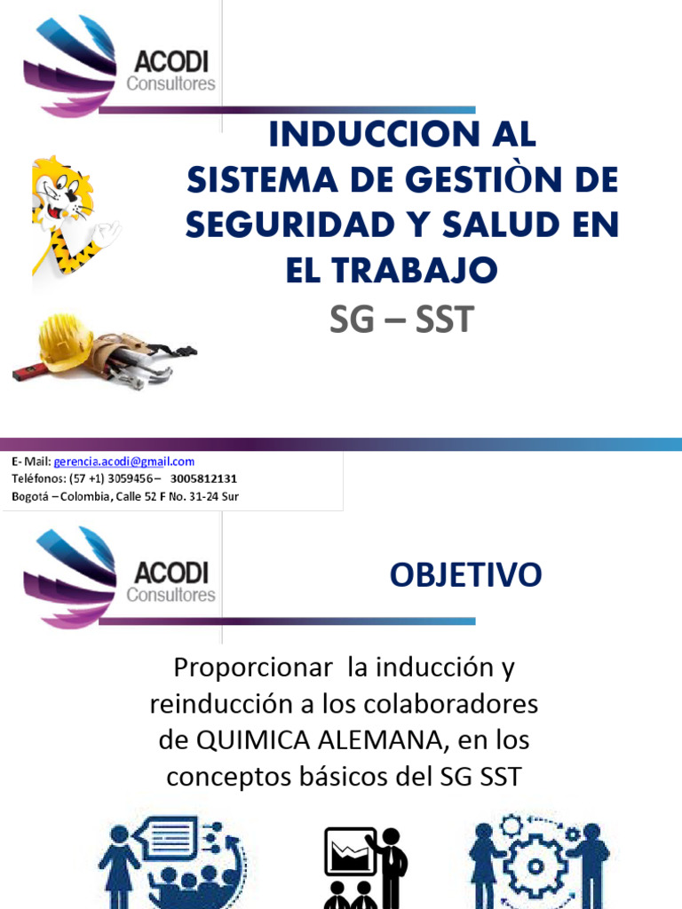 Capacitacion Induccion y Reinduccion SG-SST | PDF