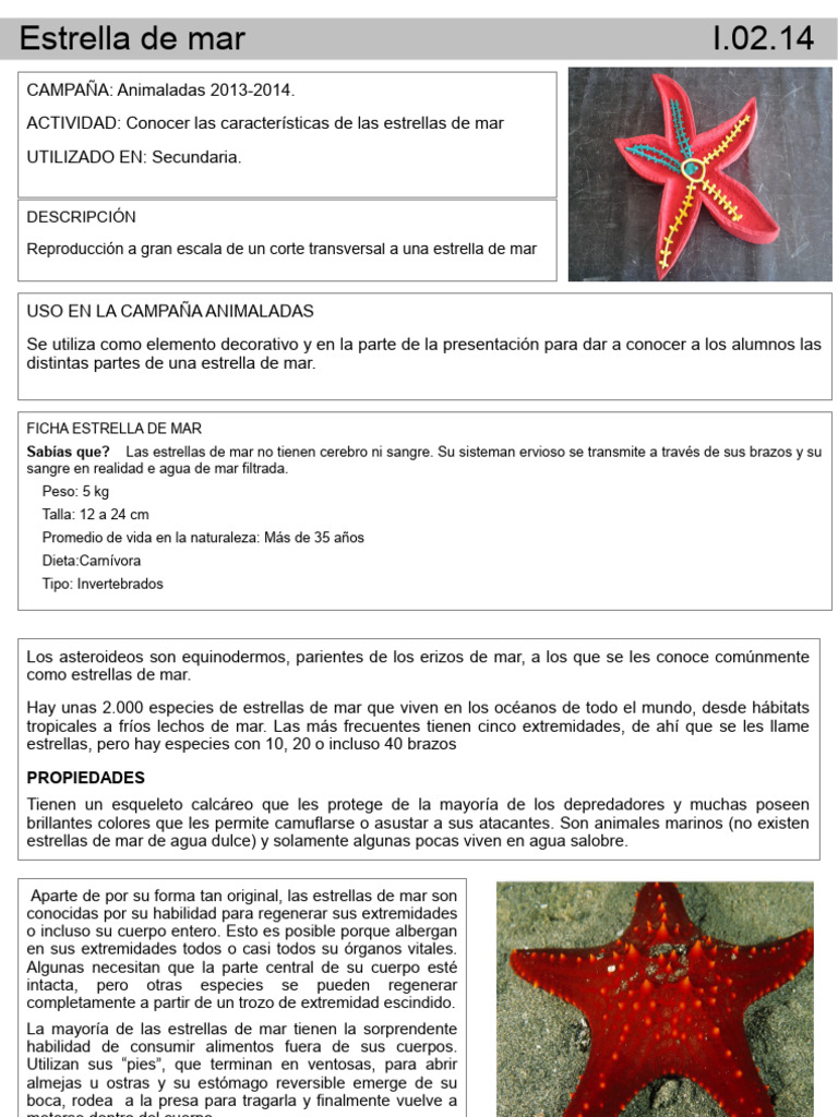 Estrella_de_mar | PDF