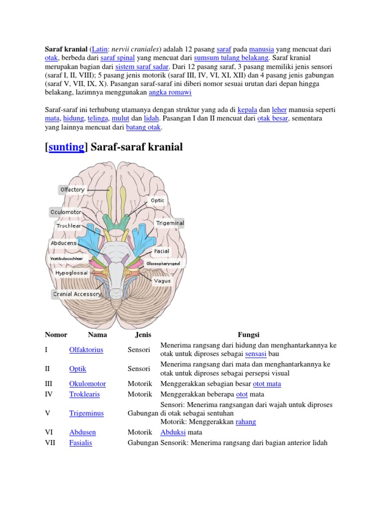 Saraf Kranial | PDF