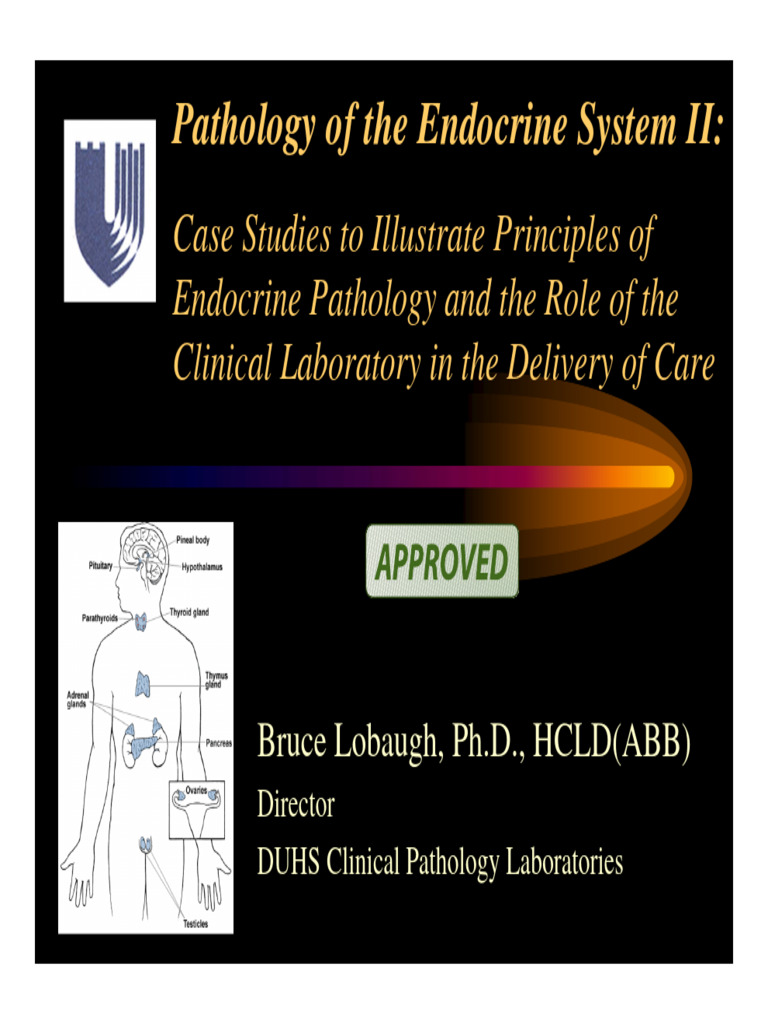 06.07.1 Pathology of The Endocrine System II Final | PDF | Endocrine ...