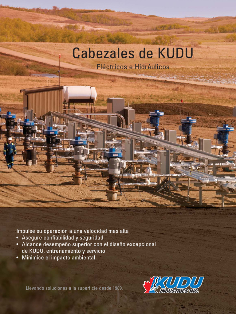 Kudu BRO Driveheads INT SPA WEB | PDF | Rodamiento (Mecánico) | Caballo de fuerza
