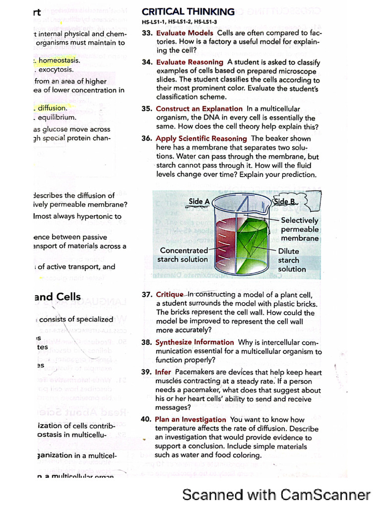 Class Work Page 277 | PDF