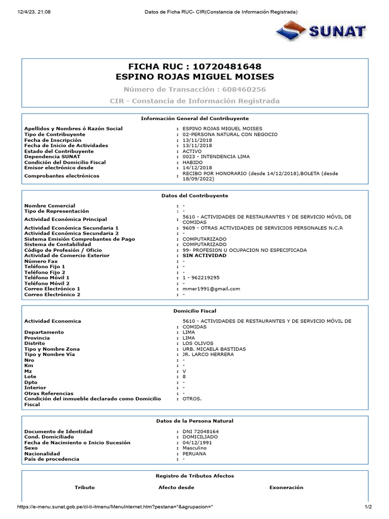 Sunat - Menú Sol | PDF