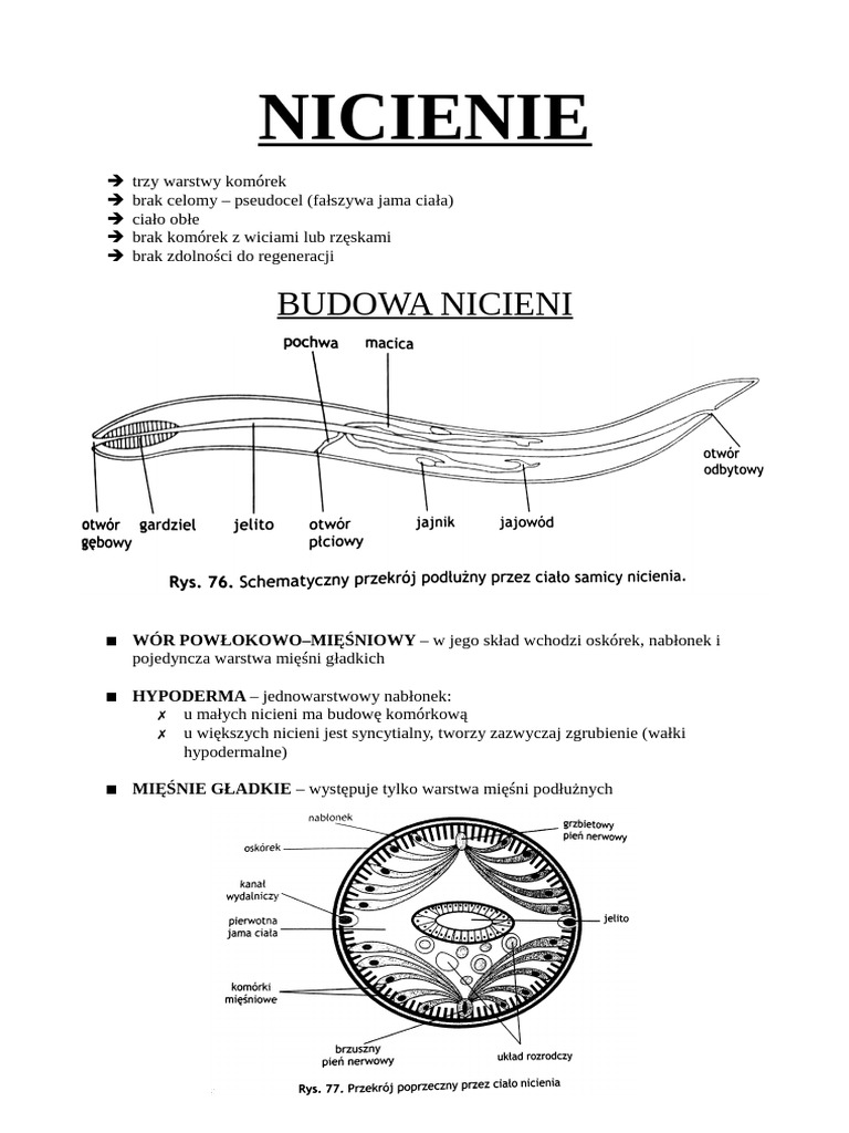 NICIENIE | PDF