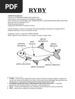 Ryby Głębinowe | PDF