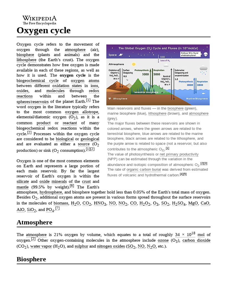 Oxygen Cycle | PDF | Chemistry | Environmental Science