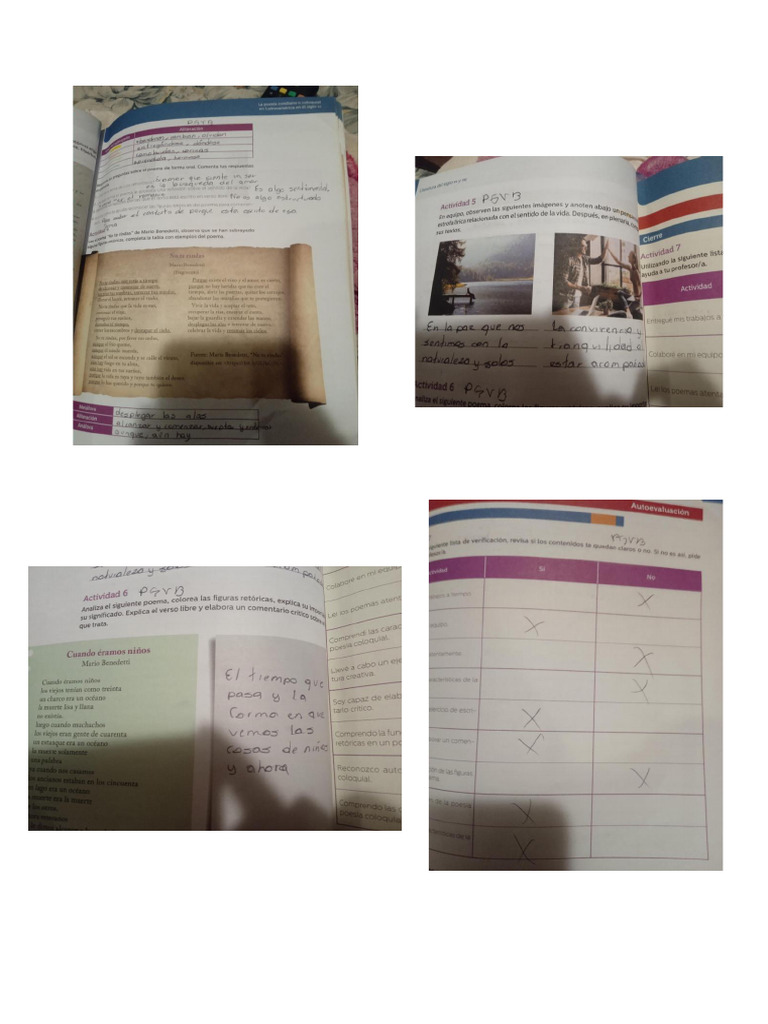 Comparto 'Corte - 2' Con Usted | PDF