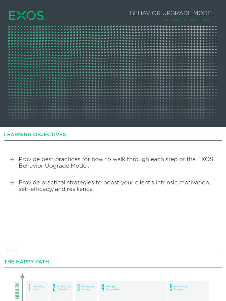 Behavior Upgrade Model Strategies | PDF | Psychological Resilience ...