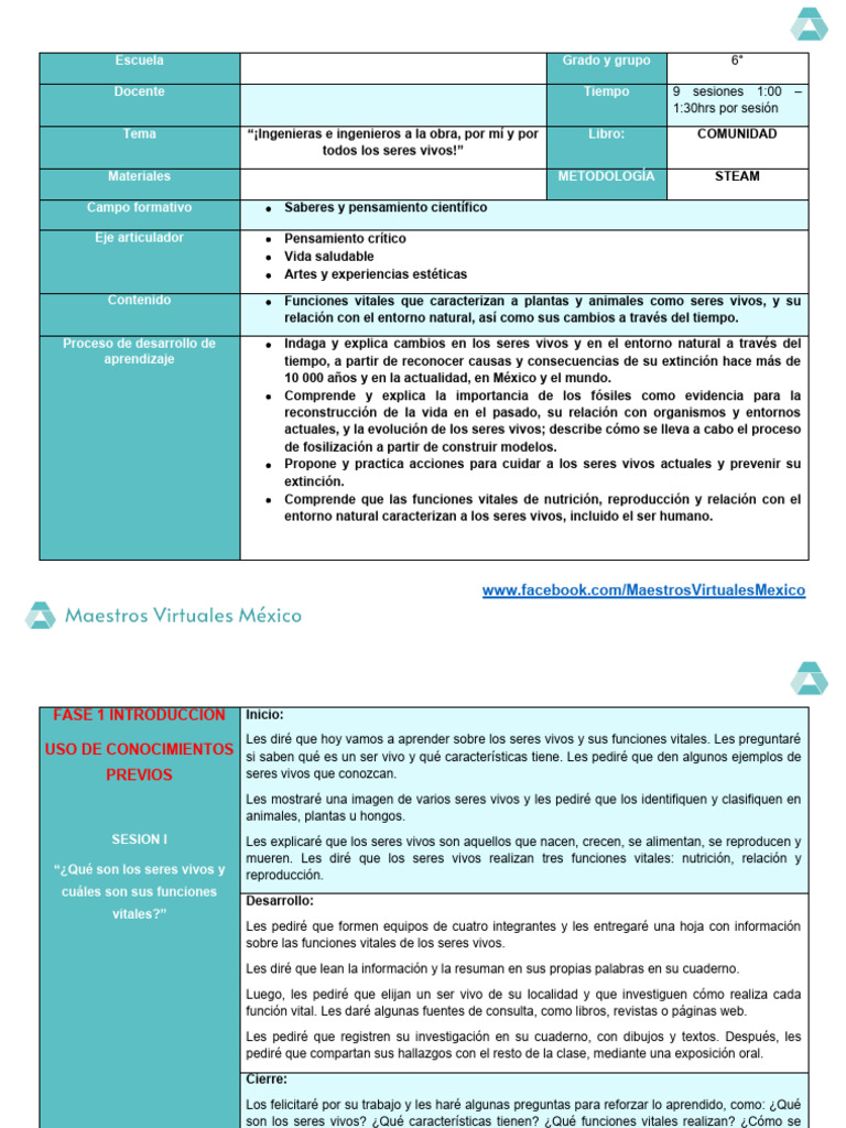 Ingenieras e Ingenieros A La Obra Por Mi y Por Los Seres Vivos | PDF ...