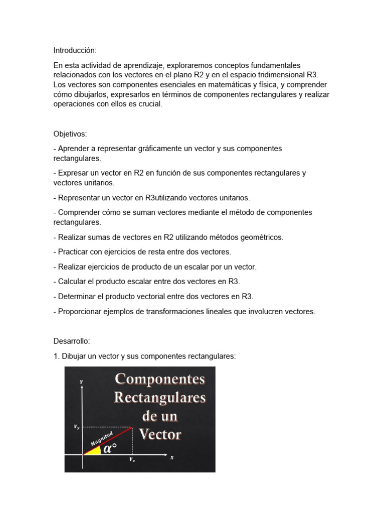 T4 | PDF | Vector Euclidiano | Escalar (Matemáticas)