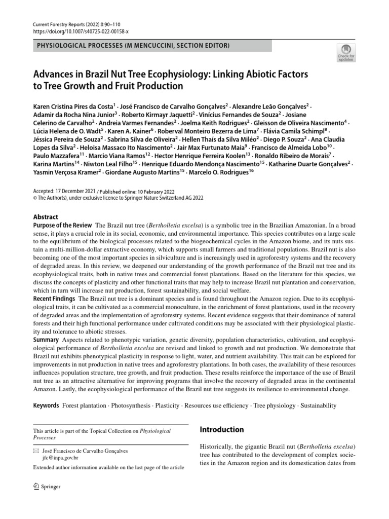 Costa Et Al. (2022) | PDF | Trees | Leaf