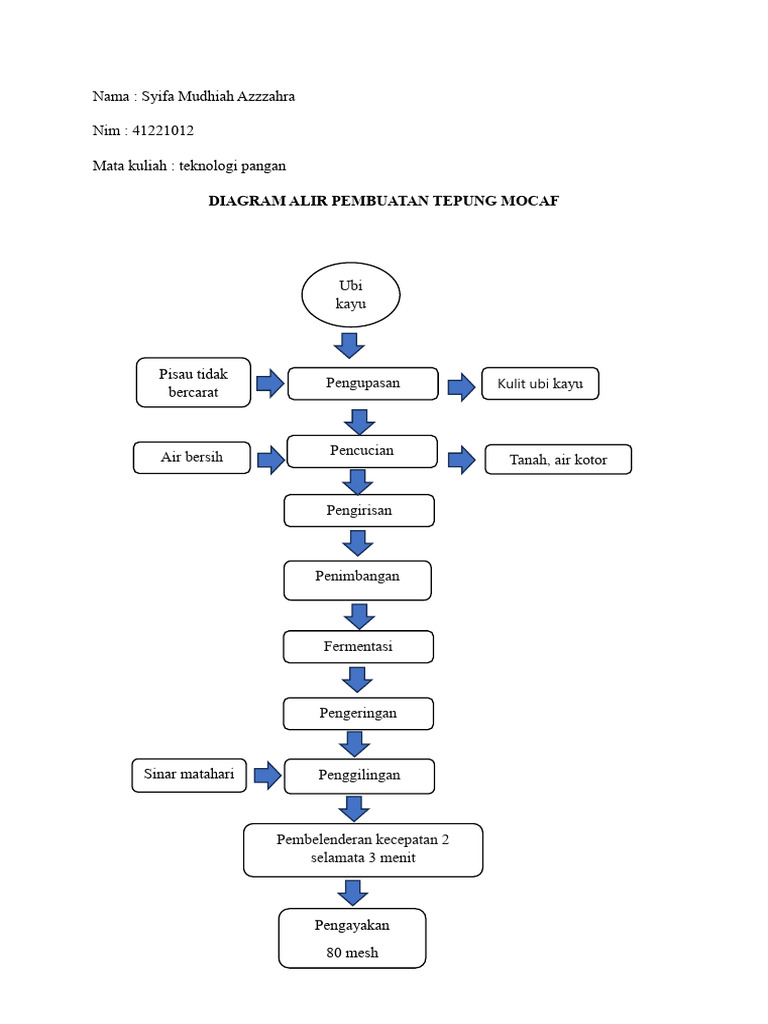 Diagram Alir Tepung Mocaf | PDF