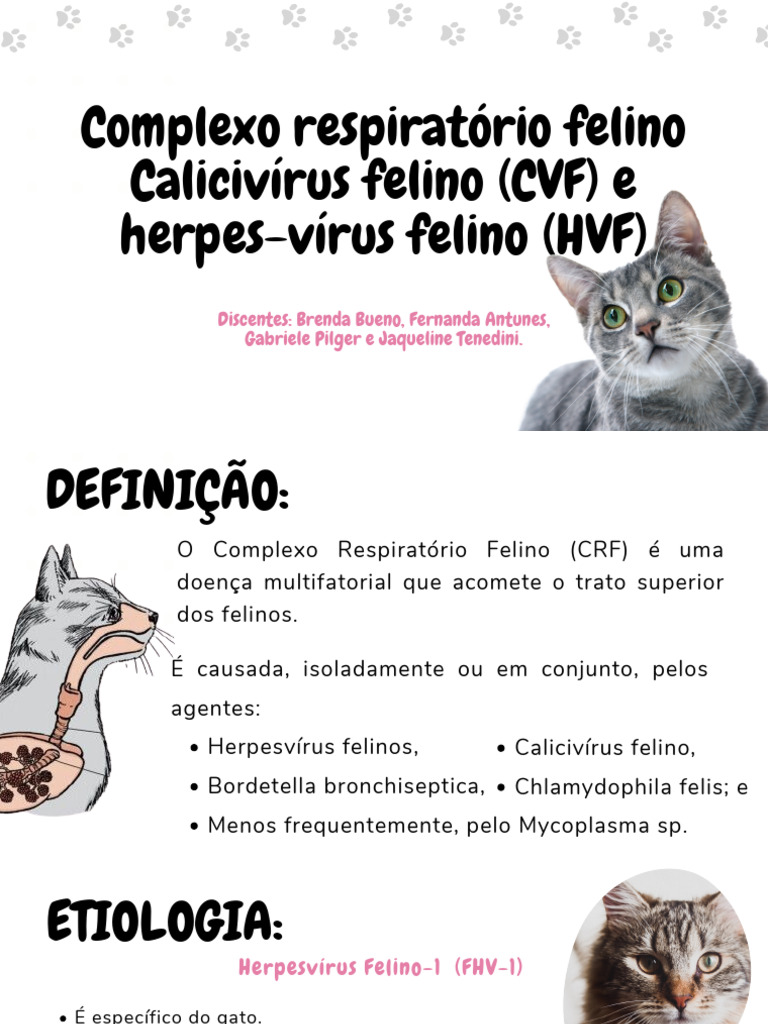 Complexo Respiratório Felino_20231019_123619_0000 | PDF | Vírus ...