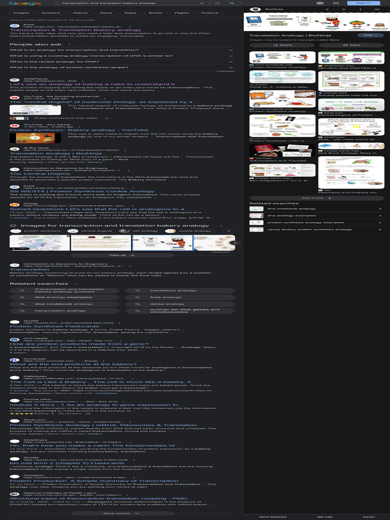 Transcription and Translation Bakery Analogy - Google Search | PDF ...