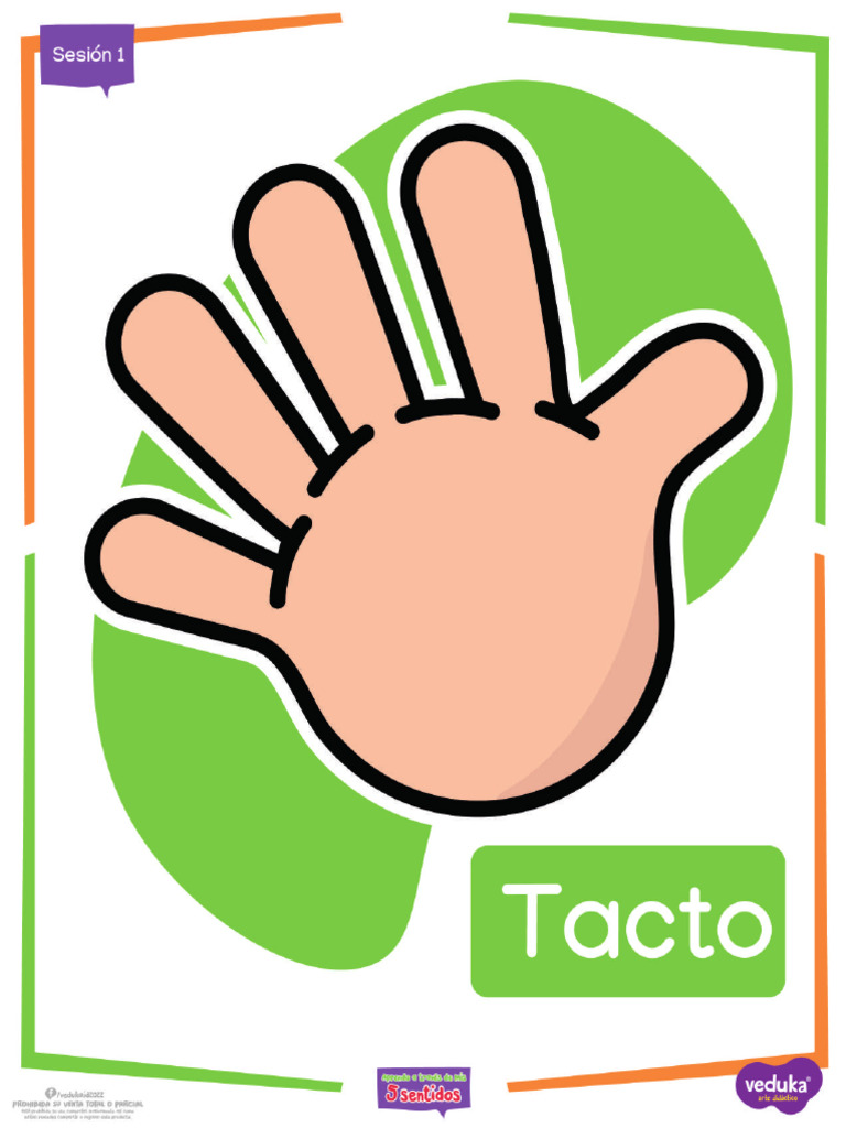 SD05 - 021 Aprendo A Través de Mis 5 Sentidos Veduka | PDF