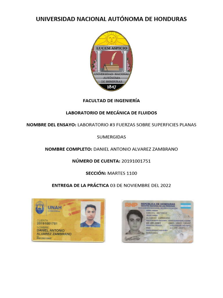 Practica 2 Lab | PDF