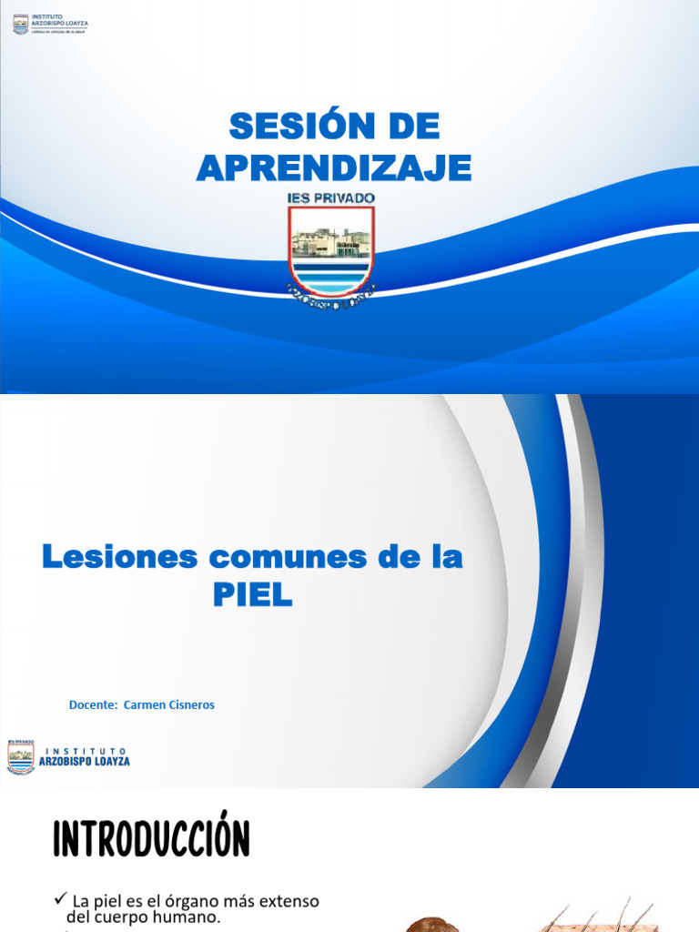 Clase La Piel | PDF | Piel | Epidermis