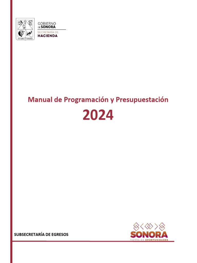 Manual de Programacion y Presupuestacion 2024 | PDF | Presupuesto | Planificación