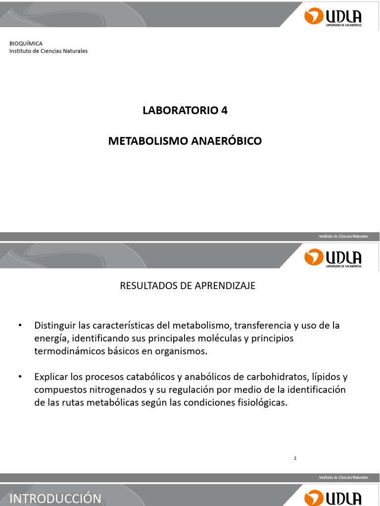Metabolismo Anaeróbico LAB4 2023-20 | PDF
