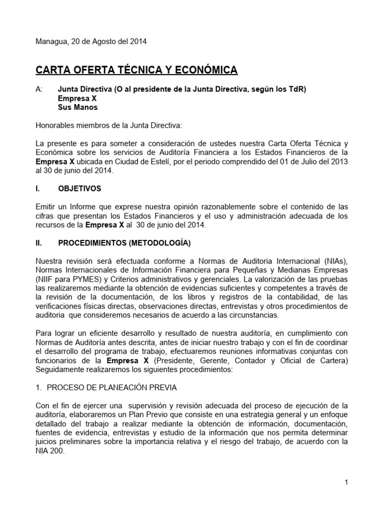 Modelo de Oferta Técnica y Económica | PDF | Auditoría | Business