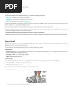 Understanding SIJ: Form and Force Closure | PDF | Pelvis | Vertebral Column