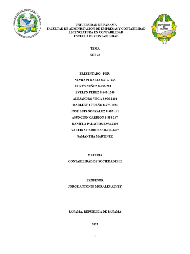 Nic 28 | PDF | Contabilidad | Inversiones