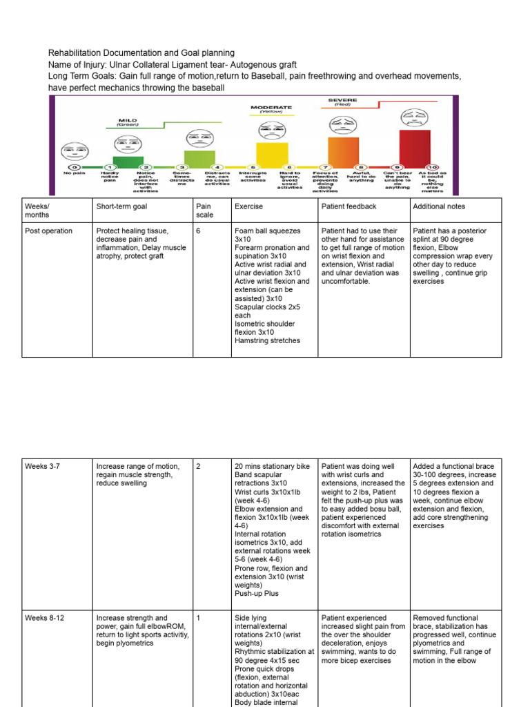 Rehab Plan Ucl | PDF | Anatomical Terms Of Motion | Elbow