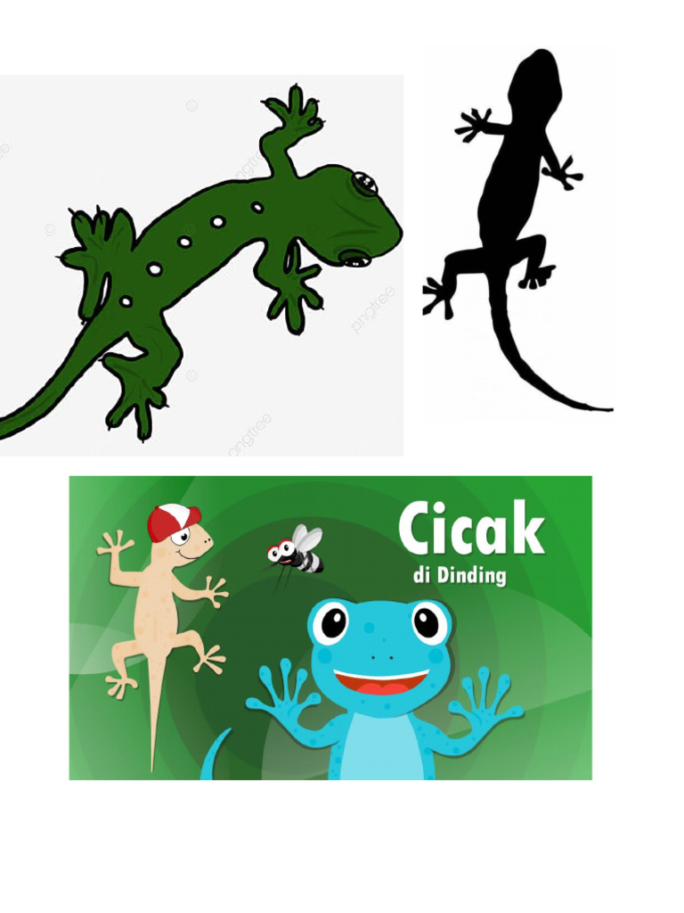 Cicak | PDF