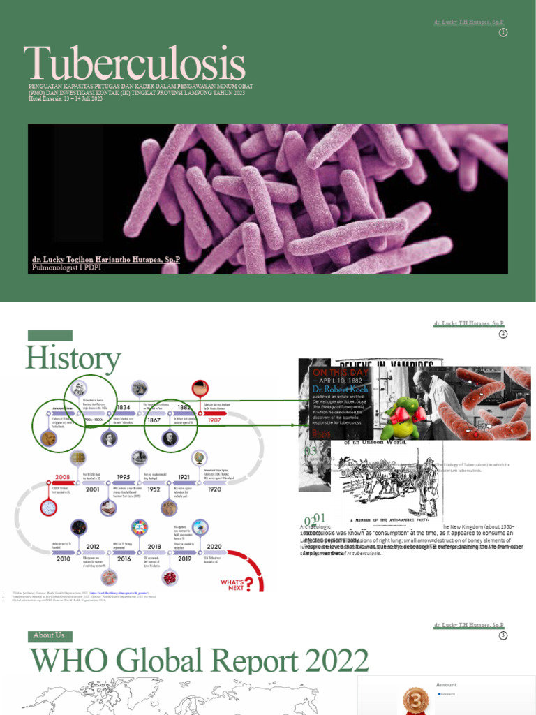 Tuberculosis Presentation For Dinke | PDF | Tuberculosis | World Health ...