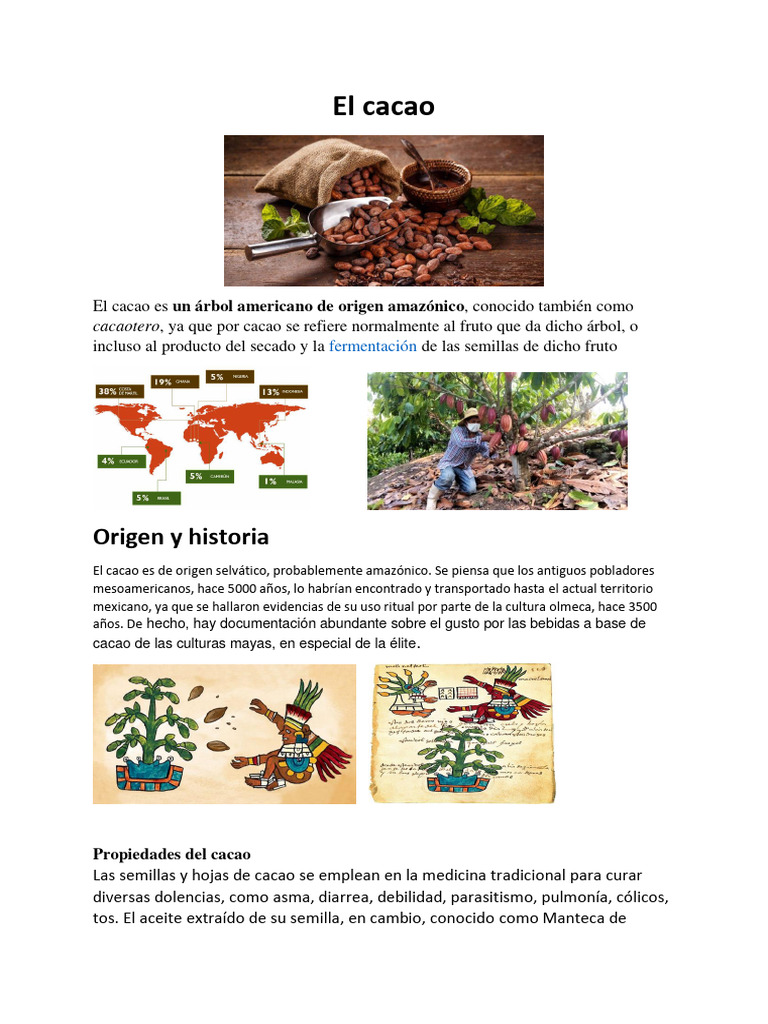 El Cacao | PDF