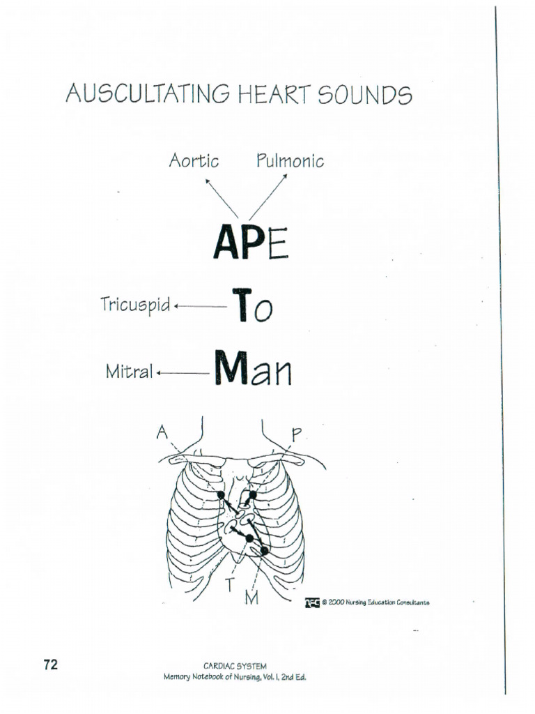 MS Mnemonics 2021 | PDF