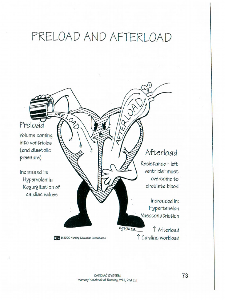 Tinywow - MS Mnemonics 2021 - 42488203 - 2 | PDF