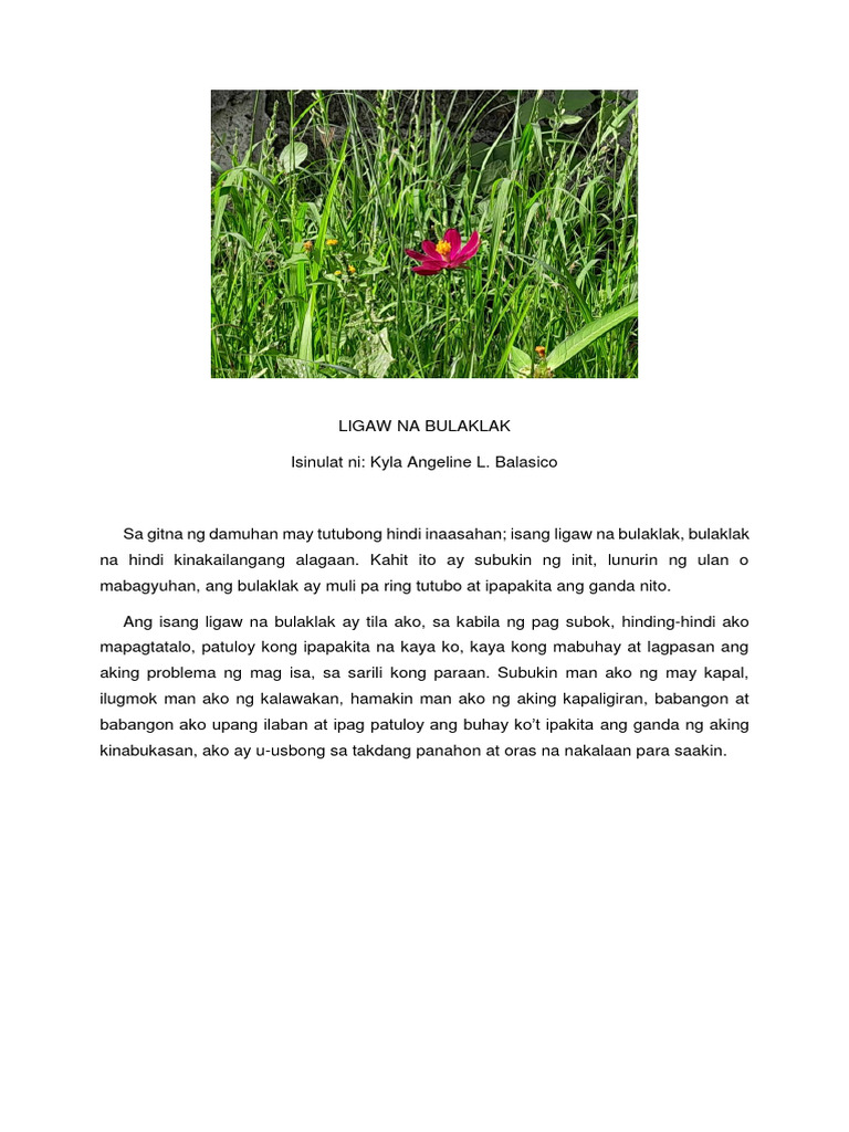 Ligaw Na Bulaklak 2 | PDF