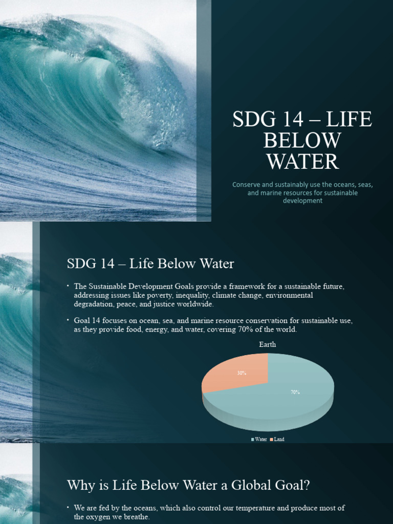 Sdg 14 – Life Below Water | PDF