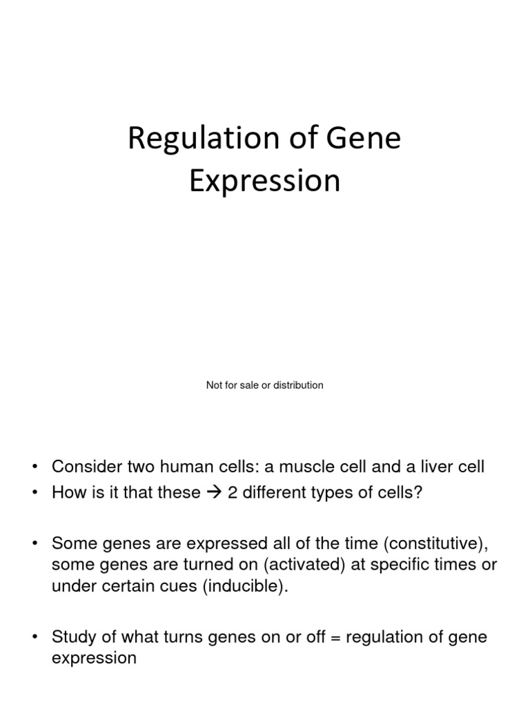 Regulation of Gene Expression | PDF | Operon | Repressor